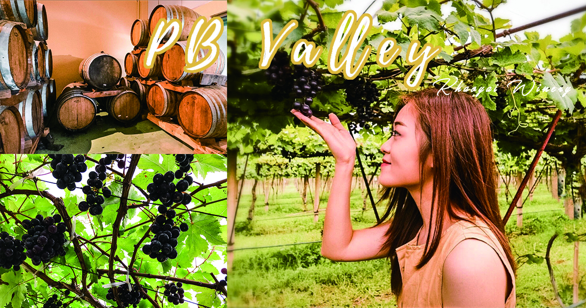 [泰國考艾] PB Valley Khao Yai winery 逛葡萄酒莊 品紅酒 | 考艾景點推薦+交通方式 - MC on the Go