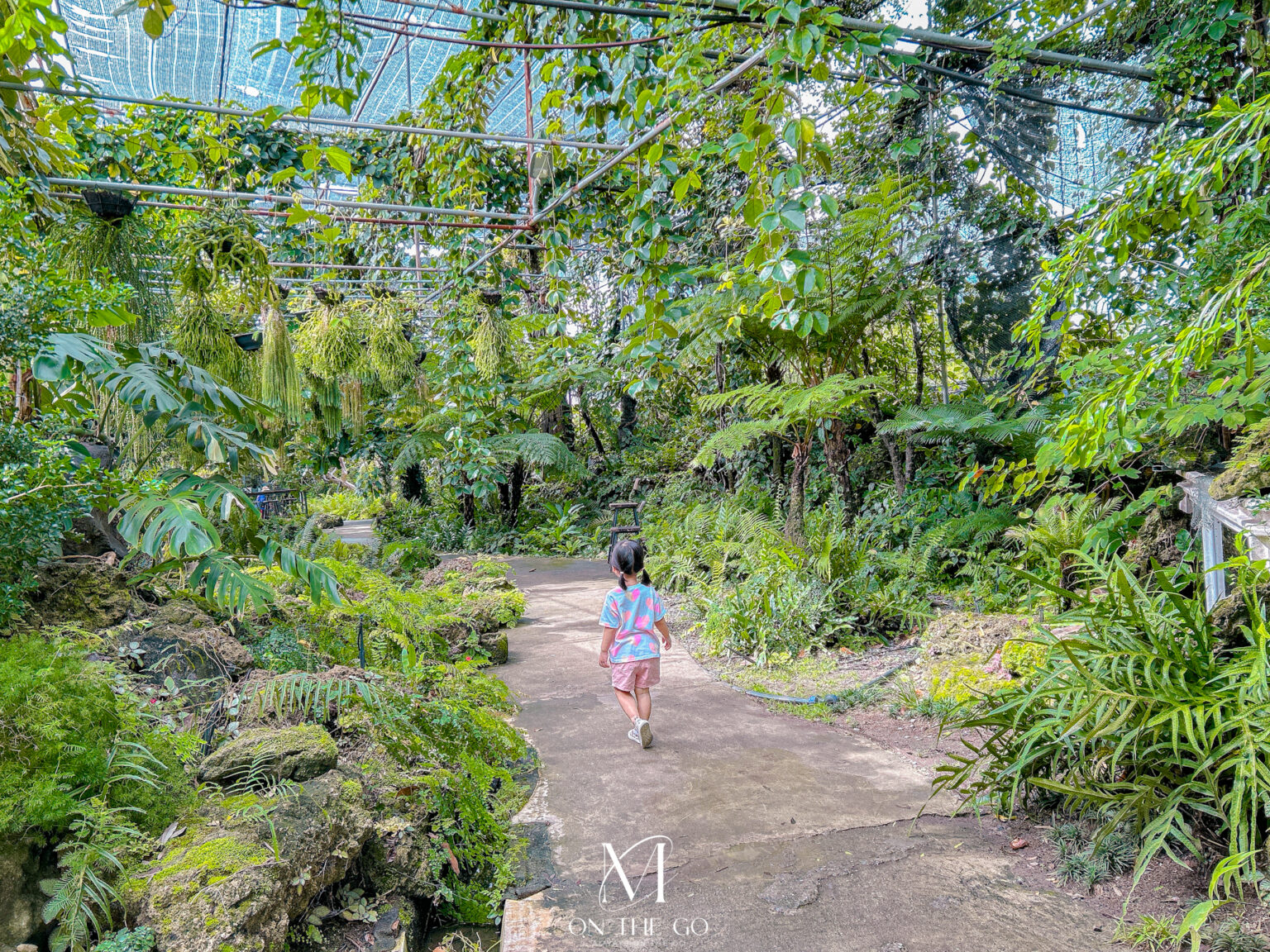 [曼谷必去咖啡廳] 隱藏的綠洲 Botanist Activity Space & Cafe | 探索最美仙人掌植物園