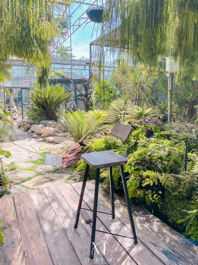 [曼谷必去咖啡廳] 隱藏的綠洲 Botanist Activity Space & Cafe | 探索最美仙人掌植物園