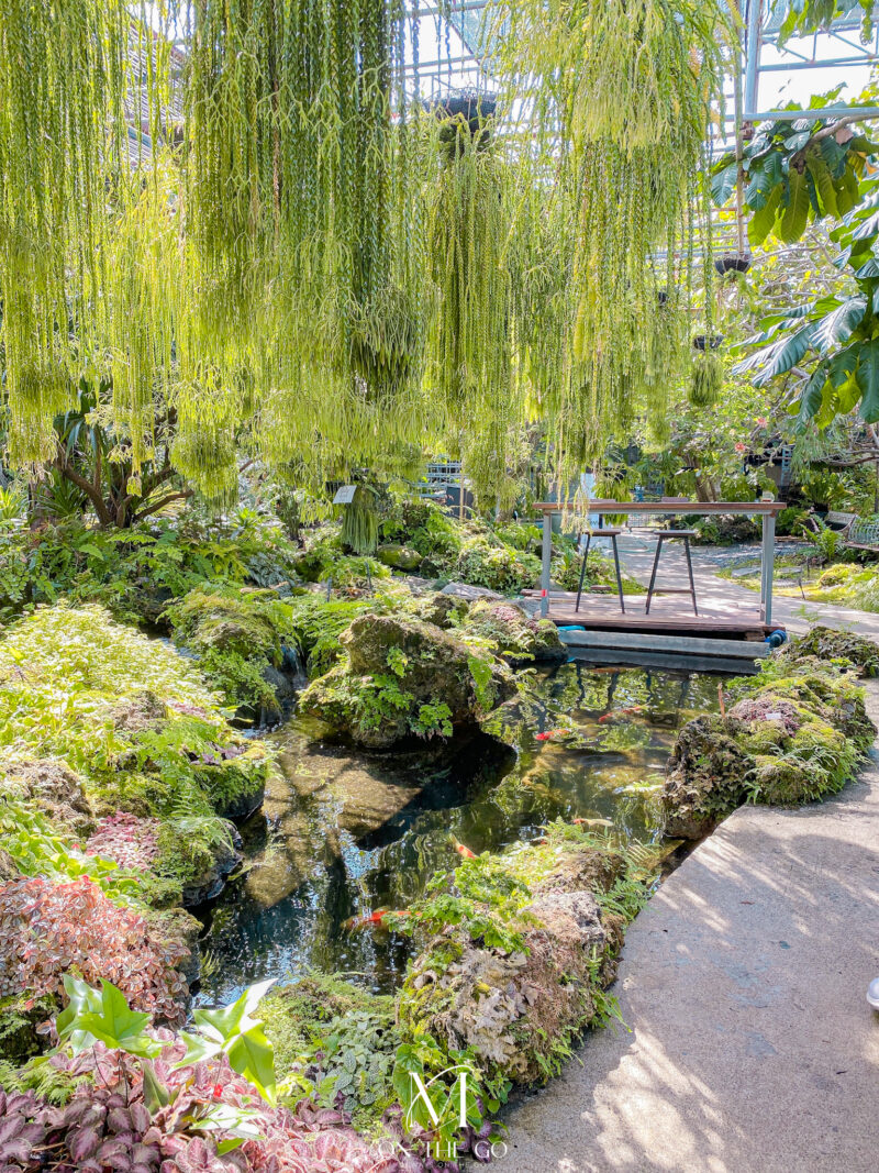 [曼谷必去咖啡廳] 隱藏的綠洲 Botanist Activity Space & Cafe | 探索最美仙人掌植物園