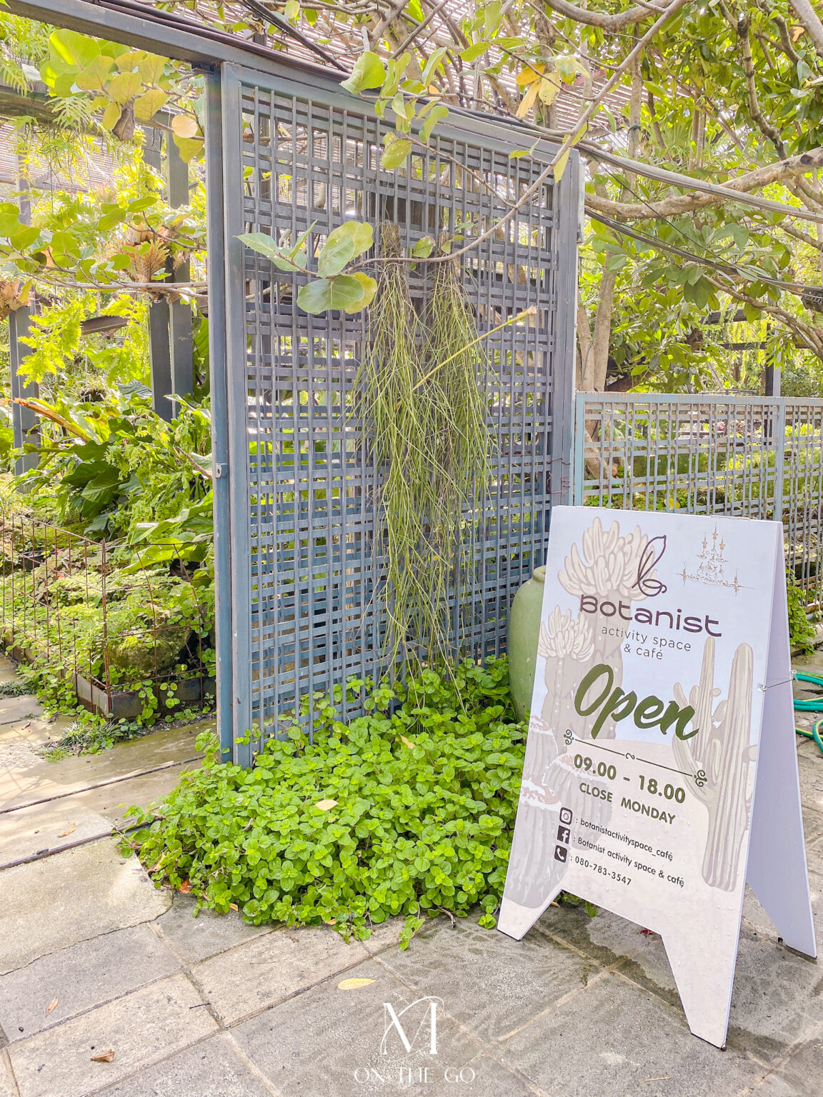 [曼谷必去咖啡廳] 隱藏的綠洲 Botanist Activity Space & Cafe | 探索最美仙人掌植物園