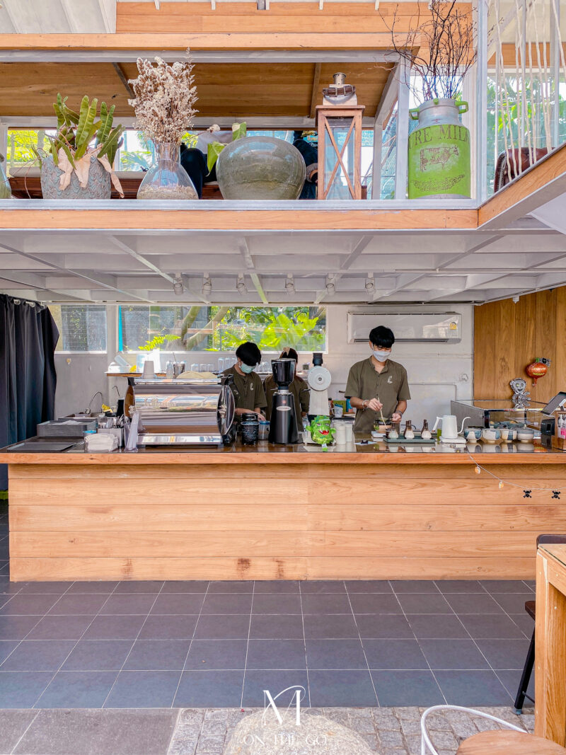 [曼谷必去咖啡廳] 隱藏的綠洲 Botanist Activity Space & Cafe | 探索最美仙人掌植物園