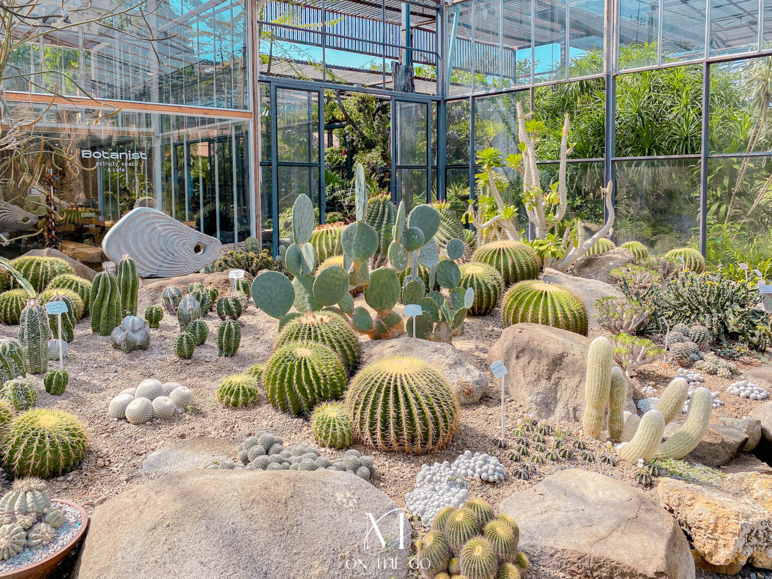 [曼谷必去咖啡廳] 隱藏的綠洲 Botanist Activity Space & Cafe | 探索最美仙人掌植物園