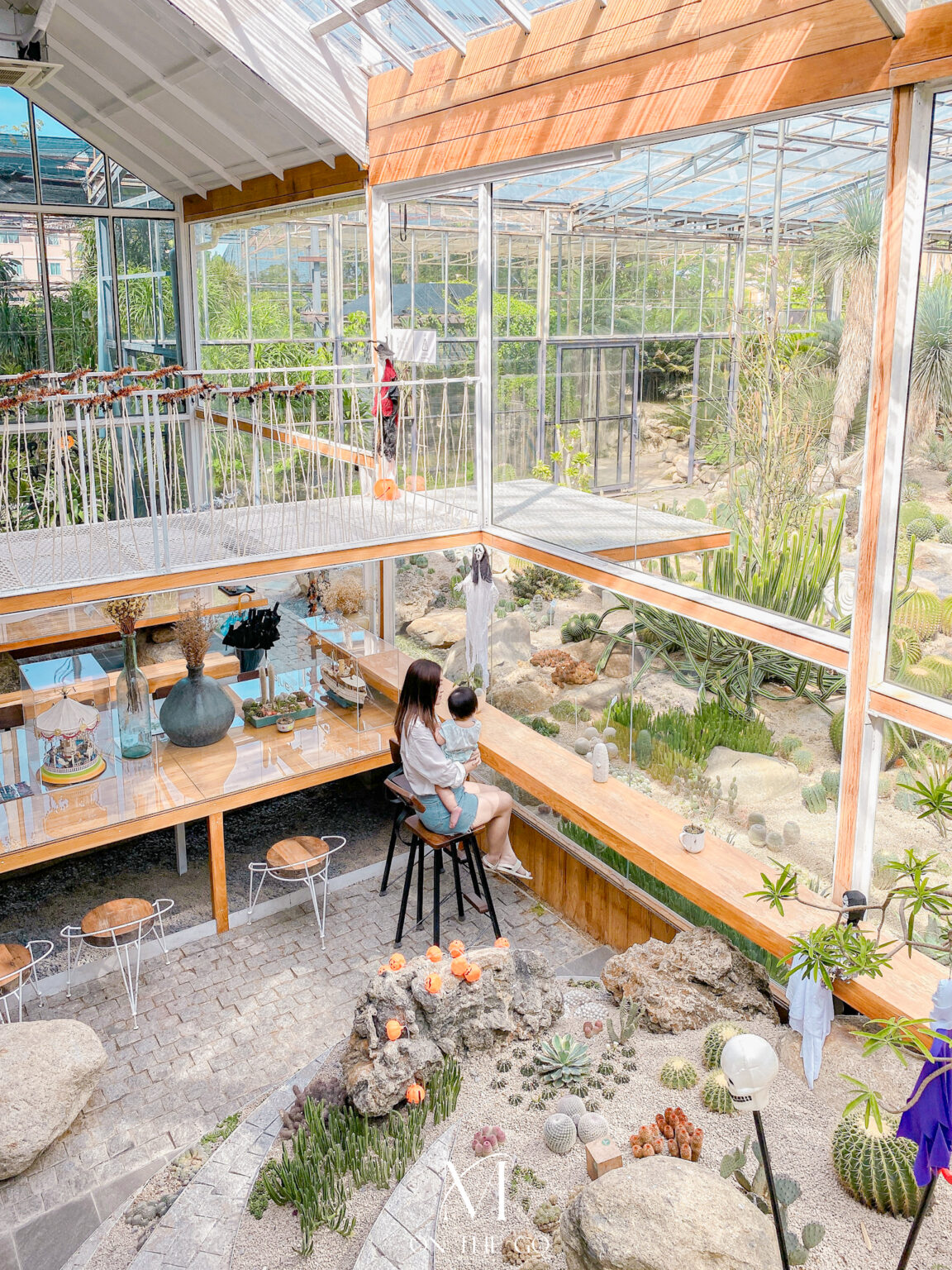 [曼谷必去咖啡廳] 隱藏的綠洲 Botanist Activity Space & Cafe | 探索最美仙人掌植物園