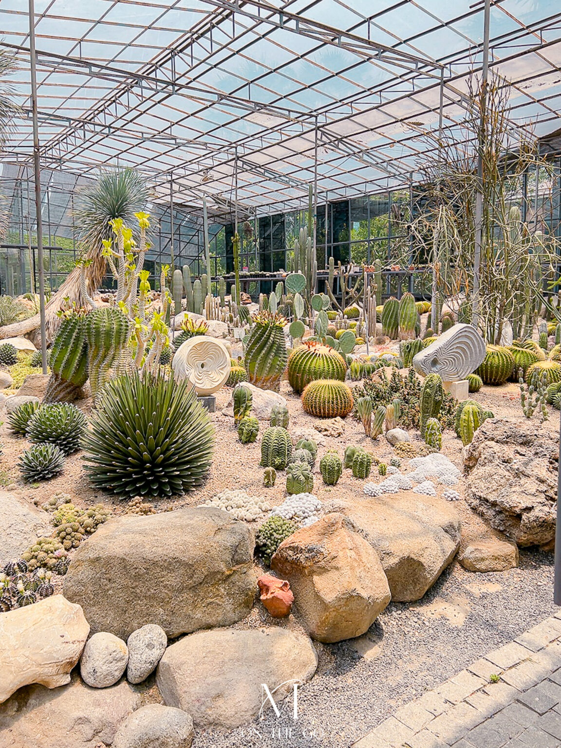 [曼谷必去咖啡廳] 隱藏的綠洲 Botanist Activity Space & Cafe | 探索最美仙人掌植物園