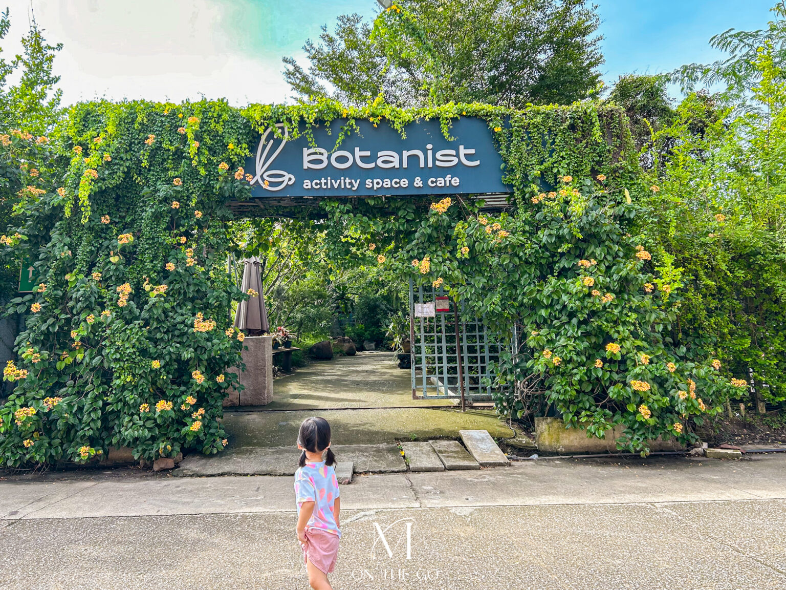 [曼谷必去咖啡廳] 隱藏的綠洲 Botanist Activity Space & Cafe | 探索最美仙人掌植物園