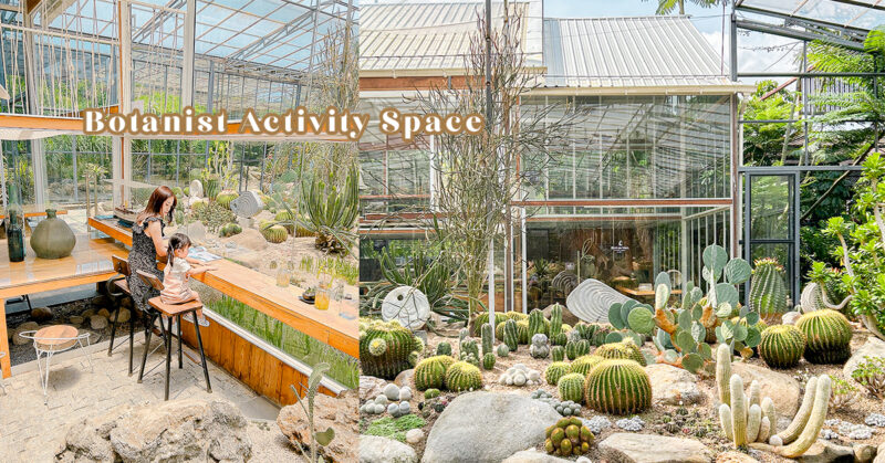 [曼谷必去咖啡廳] 隱藏的綠洲 Botanist Activity Space & Cafe | 探索最美仙人掌植物園